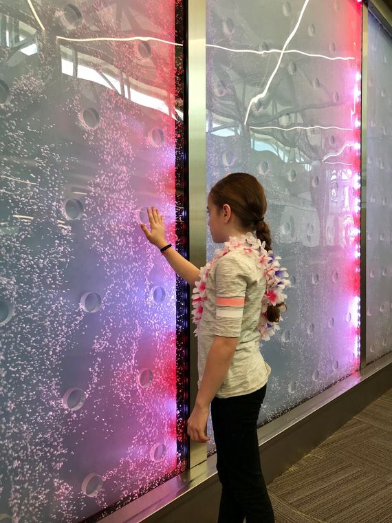 Elkridge Library, DIY, + Senior Ctr.